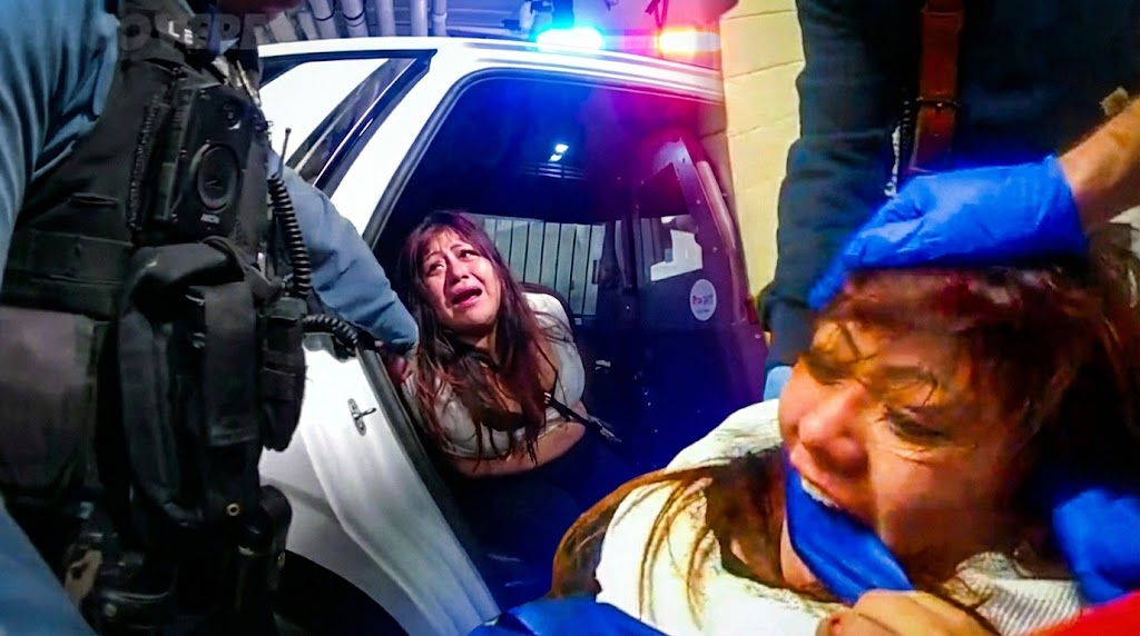 Spoiled Brat Catches 4 Felonies After Her Friends Ditch Her - Body Cam